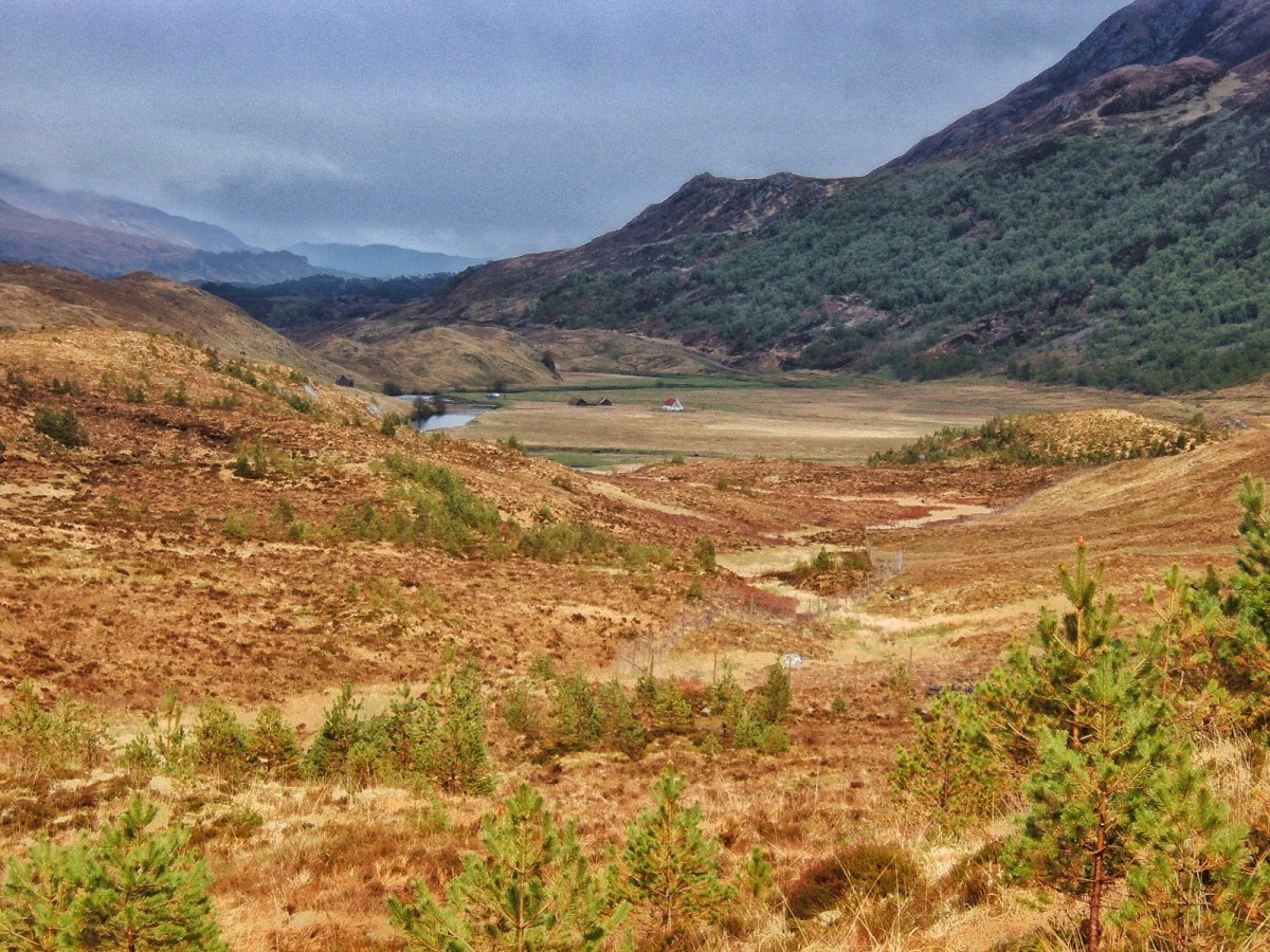 Storied Landscapes: The Narrative Approach to Conservation – Landscape ...