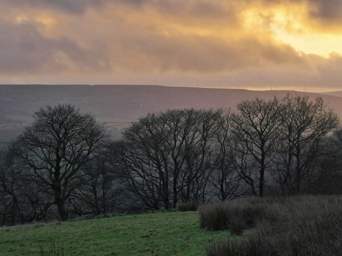 Heeding – Landscape Story